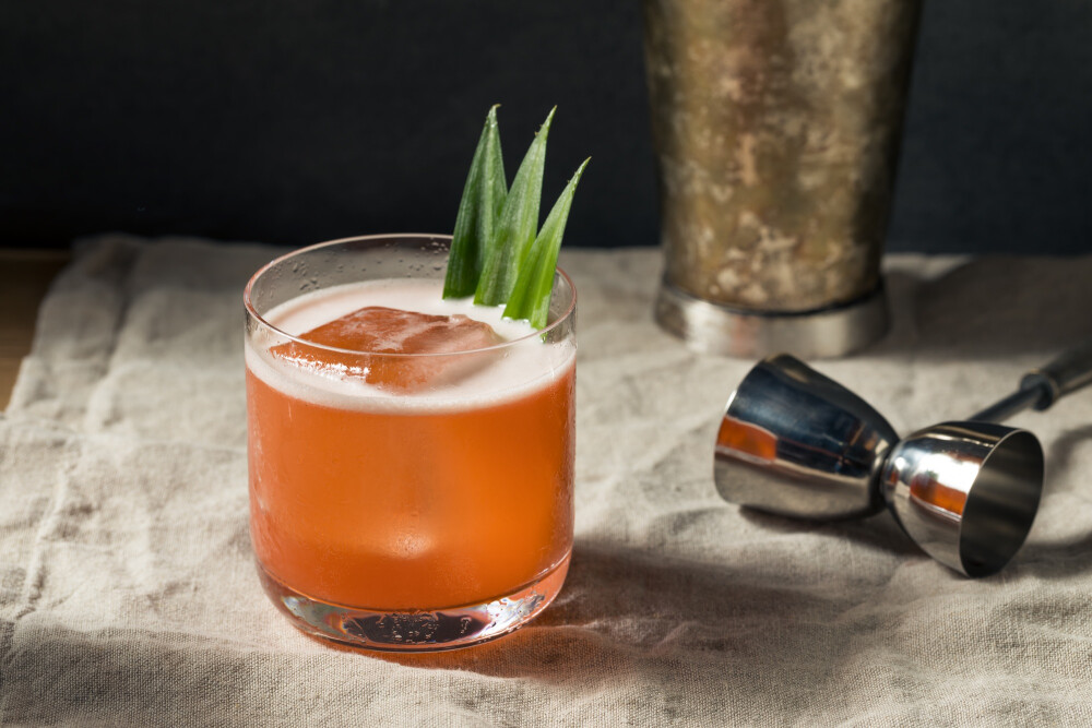 Jungle Bird cocktail recipe - Make Me a Cocktail